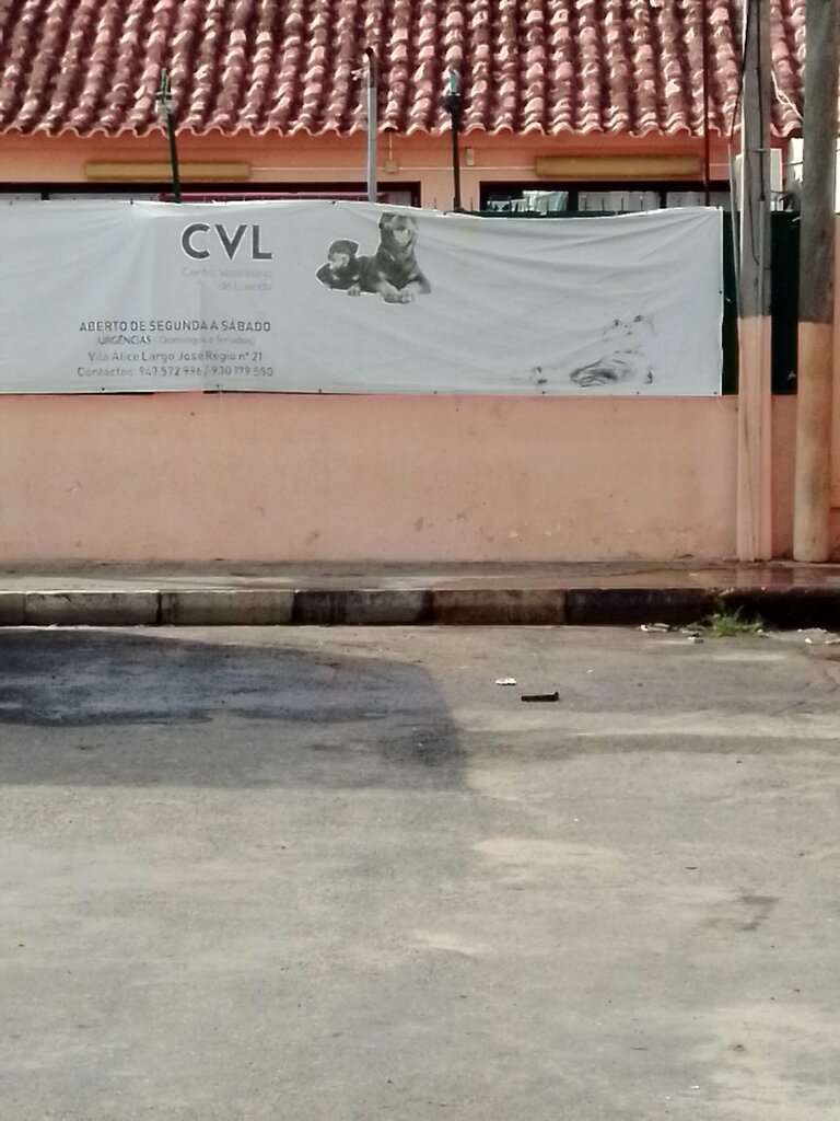Veteriner klinikleri Clínica Veterinaria de Luanda, Loanda, foto