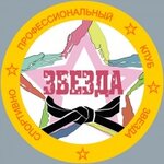 Vostok (Novaya ulitsa No:11А), spor kulüpleri  Norilsk'ten