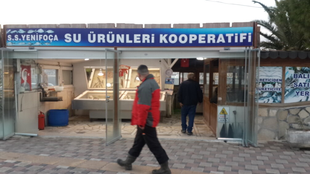 Toptan sebze ve meyve satışı Yenifoça Balık Satış, Foça, foto
