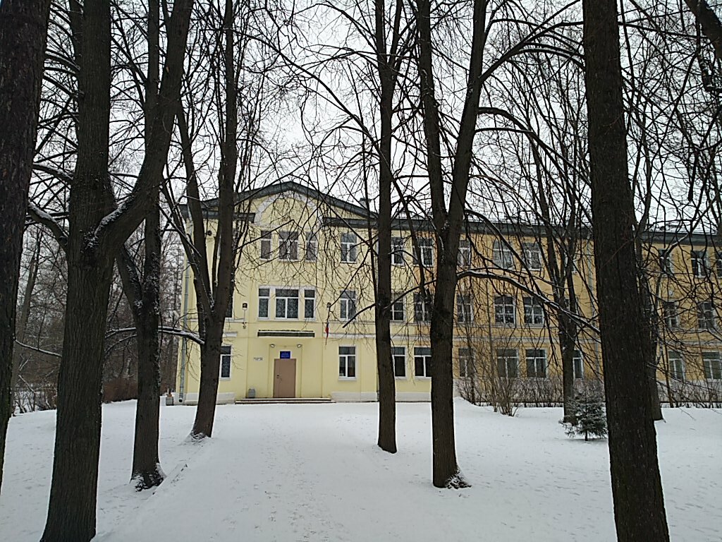 Ortaokul Shkola № 638, Pavlovsk, foto