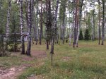Загородный лагерь отдыха и оздоровления детей Берёзка (Vladimir Region, Kovrovsky Municipal District, munitsipalnoye obrazovaniye Klyazminskoye), yaz kampı  Vladimirskaya oblastından