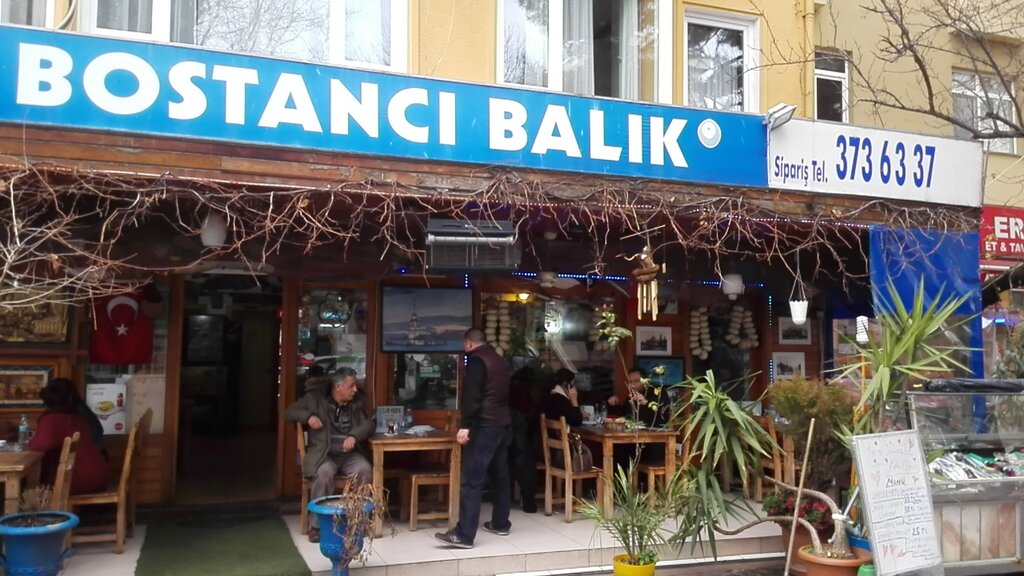 i̇nşaat firmaları Doğan Yiğitler Lpg Taşımacılık İnşaat, İstanbul, foto