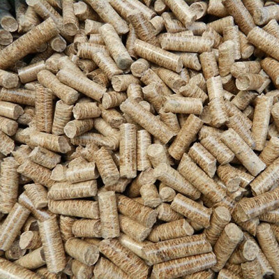 Sanayi kuruluşu Bioenergiya, Brianskaya oblastı, foto