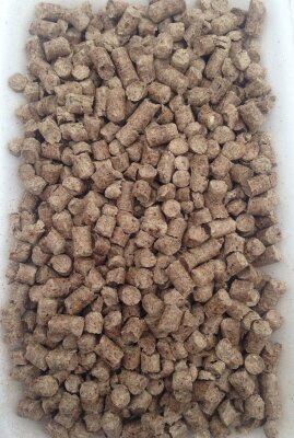 Sanayi kuruluşu Axioma. Co. Ltd, Tixvin, foto