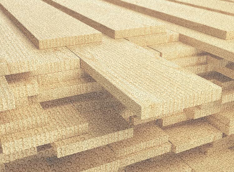 Kereste üretim ve satış şirketleri Sushilny kompleks, Pskov, foto