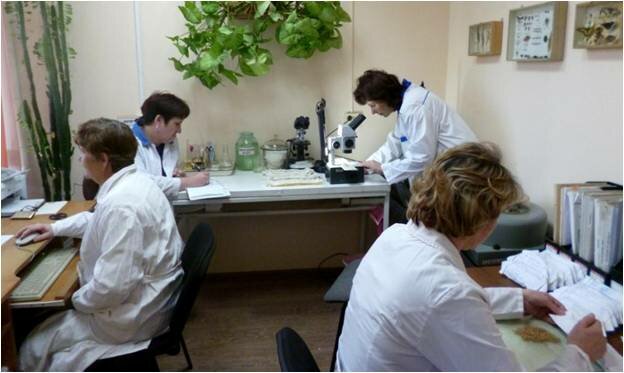 Denetim firmaları Rosselkhoztsentr Sukhobuzimsky Otdel, Krasnoyarski krayı, foto