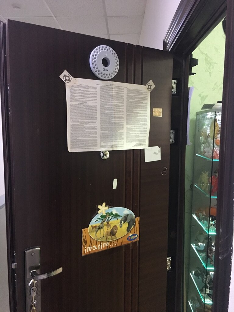 Çocuk oyunları ve oyuncakları Magazin igrushek Dikovinka, Habarovsk, foto