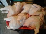 Semeynaya perepelinaya ferma (Zemlyanichnaya ulitsa No:35, posyolok Staropyshminsk), kanatlı hayvan ürünleri ve yumurta  Sverdlovskaya oblastından
