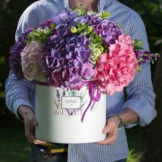 Çok amaçlı spor tesisleri Горки, Kirovskaya oblastı, foto