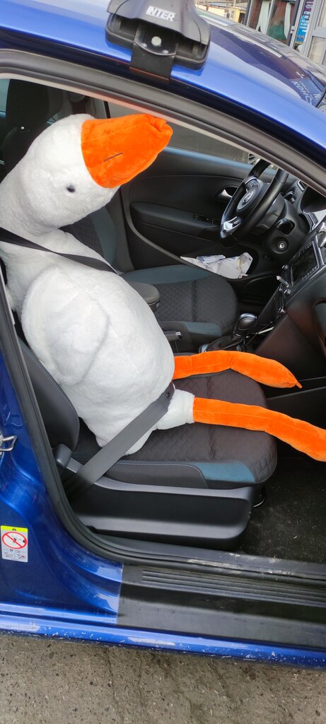 Çocuk oyunları ve oyuncakları Игрушки Писаревых, Krasnodar, foto