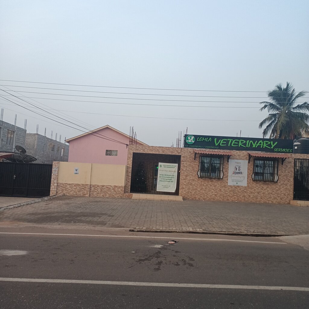 Veteriner klinikleri Lemla, Dünya, foto