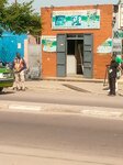 Poissons d'élevage (Brazzaville, Commune de Ouenzé), balık ve deniz ürünleri  Brazzaville'den