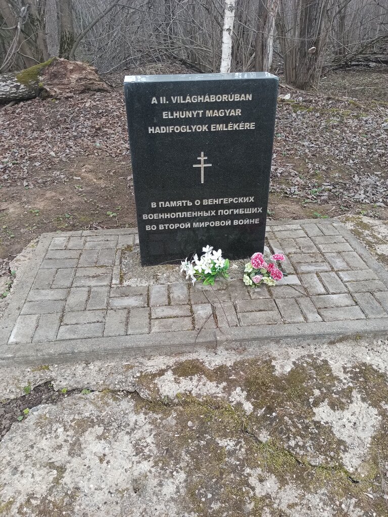Anıt, heykel Венгерским военнопленным, Moskova ve Moskovskaya oblastı, foto