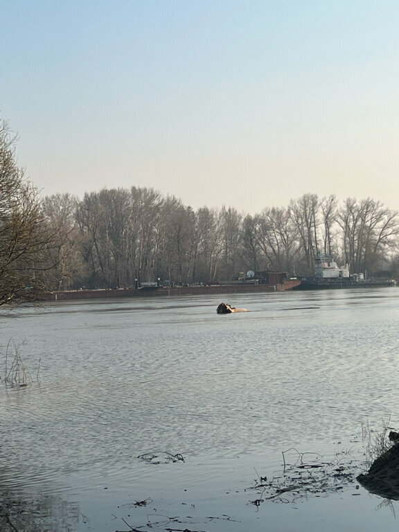 i̇skele Jetty , Pavlodar eyaleti, foto