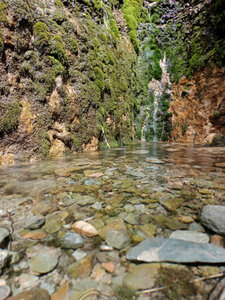 Tamshybulak Spring (Jetısu oblysy, Aqsý aýdany, Qapal aýyly), turistik yerler