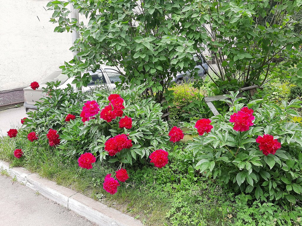 Kültür ve eğlence parkları кладбище при Успенской церкви, Ufa, foto