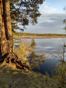 Марьин утёс (Novgorod Region, Soletskiy District, Vybitskiy territorialny otdel), dağ zirvesi  Novgorodskaya oblastından