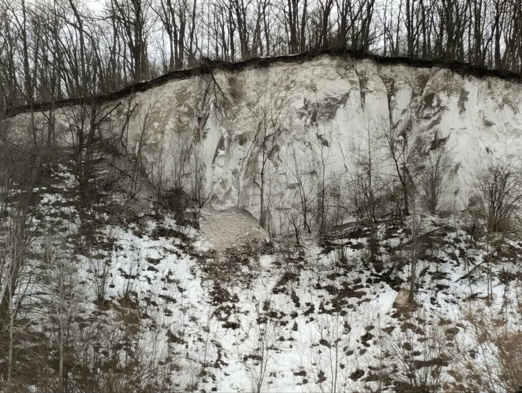 Doğa koruma alanı ООПТ природный заказник регионального значения урочище Яблоновское, Belgorodskaya oblastı, foto