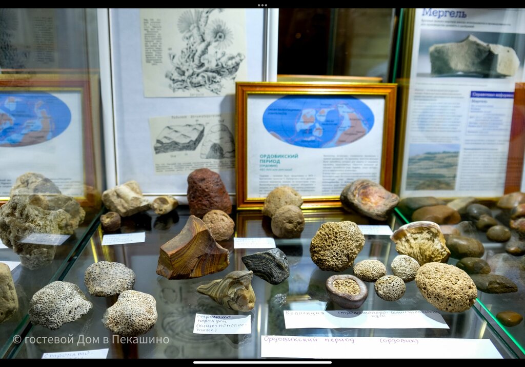 Müzeler ve sanat galerileri Secrets of the life of the Earth, Arhangelskaya oblastı, foto