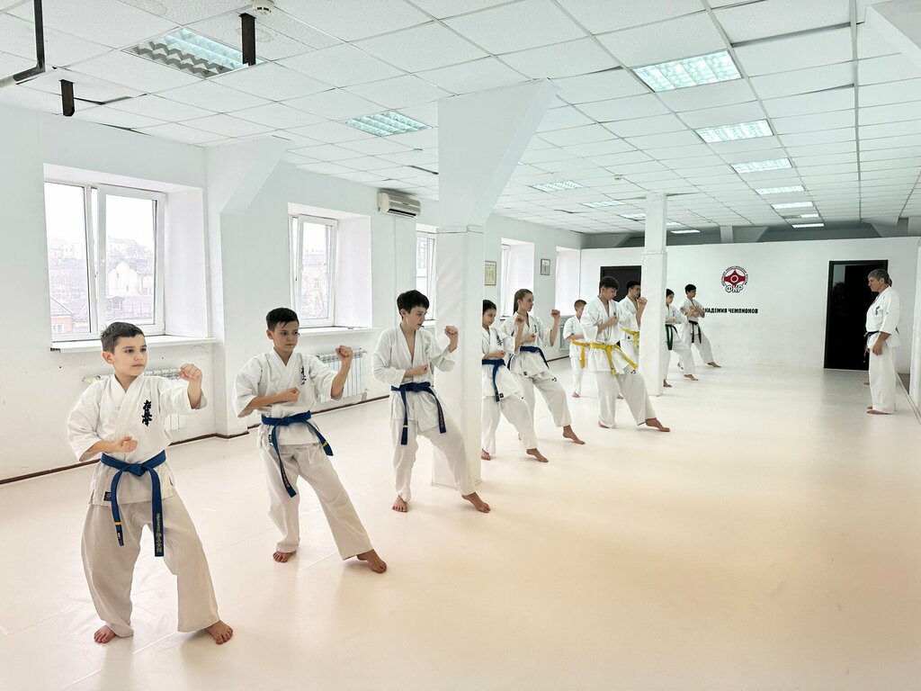 Spor kulüpleri Академия Киокусинкай Чкаловский, Rostov‑na‑Donu, foto