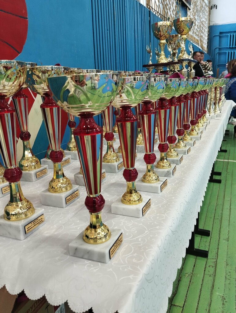 Çok amaçlı spor tesisleri Центр игровых видов спорта, Viazma, foto