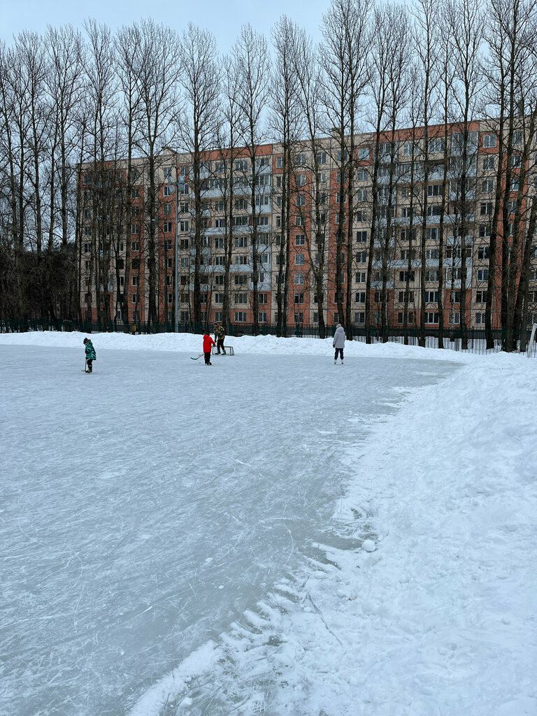 Buz pateni pistleri Ice rink, Saint‑Petersburg, foto