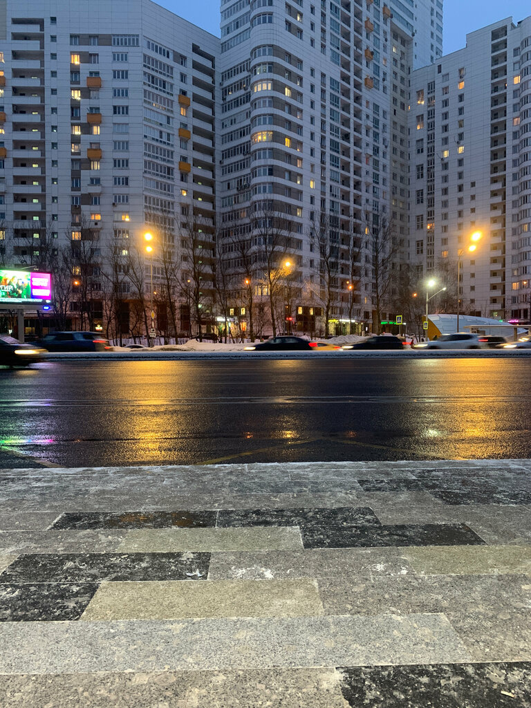 Toplu taşıma durağı Métro Tropariovo, Moskova, foto