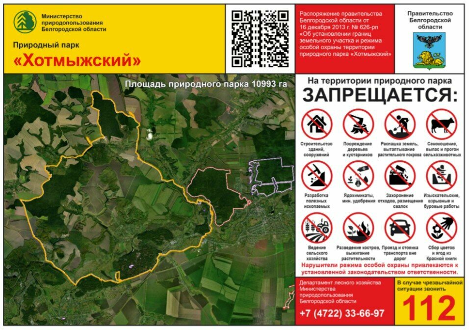 Orman урочище Куликовское, Belgorodskaya oblastı, foto