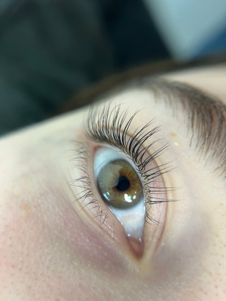 Kaş ve kirpik salonu Browsbygirls, Moskova, foto