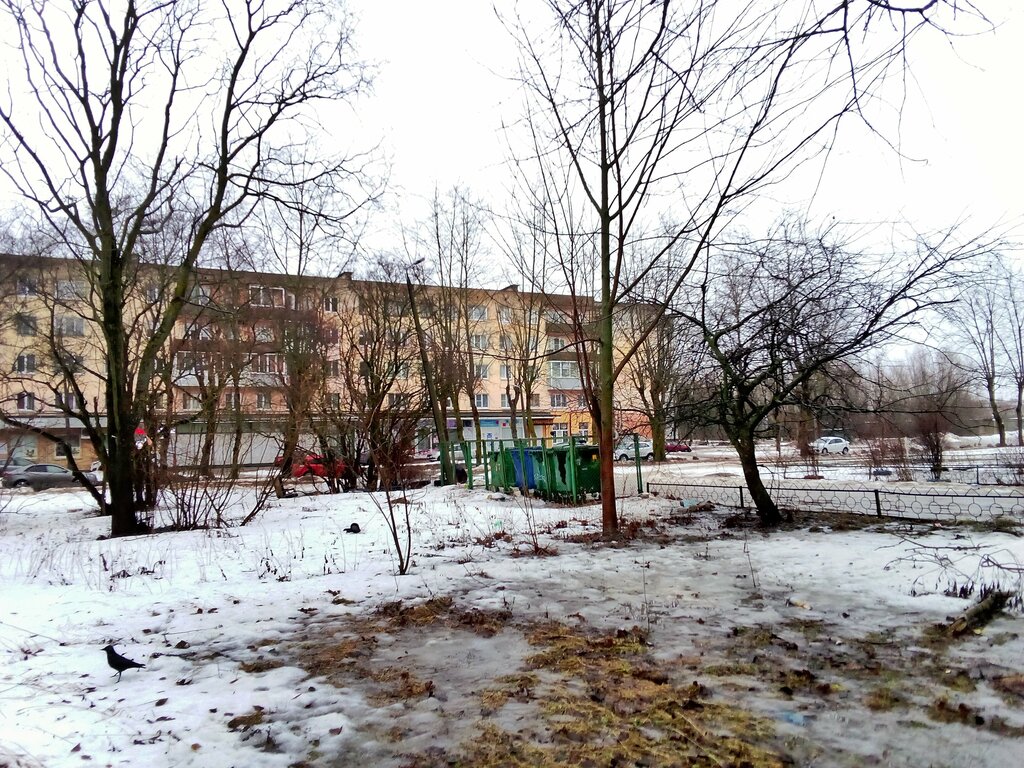 Çöp alanları Trash and garbage disposal area, Velikiy Novgorod, foto