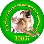 Зоо 37 (Pochtovaya Street No:6кА), yönetim ofisi  İvanovo'dan