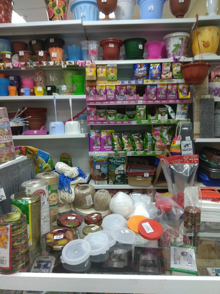 Petshop Zhivotny mir, Divnogorsk, foto