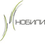 Nobili (Skhodnenskiy Blind Alley No:20), şehir planlama  Moskova'dan