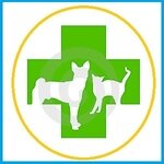 9 Zhizney, Veterinarny Tsentr (Nikolaya Otrady Street No:24А), veteriner klinikleri  Volgograd'dan