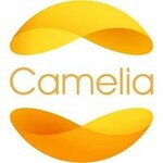 Camelia (Elektrozavodskaya Street No:21с21), reklam ajansları  Moskova'dan