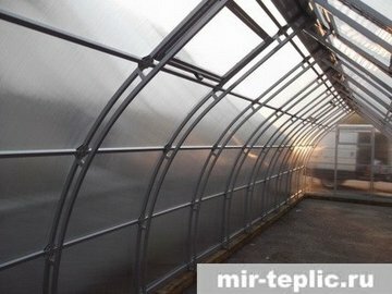 Sera ekipmanları Teplichny mir, Saint‑Petersburg ve Leningradskaya oblastı, foto