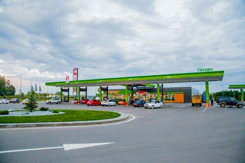 Benzin istasyonu Irbis, Tataristan, foto