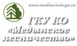 Medynskoye Lesnichestvo (ulitsa Burvikova No:5, Medyn), orman işleri  Medyn'den