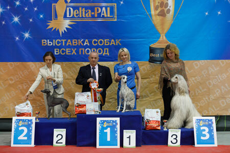 Hayvanat bahçesi merkezi Klub domashnikh zhivotnykh Delta pal, Moskova, foto