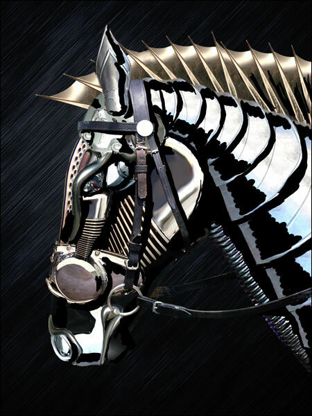 At ve binicilik kulüpleri Konno-sportivny klub Serebryanaya loshad, Başkurdistan, foto