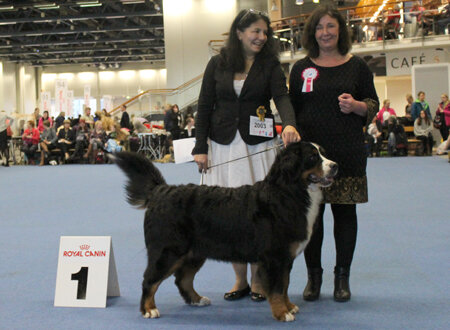 Evcil hayvan yetiştiricileri Pitomnik Sharming Bear, Viazma, foto