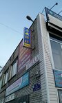 Jin (Ozyornaya ulitsa No:1/1, posyolok Sosnovo), petshop  Saint‑Petersburg ve Leningradskaya oblastından