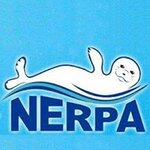 Nerpa (Krylova Street No:20), dalış kulüpleri ve eğitim merkezleri  Novosibirsk'ten