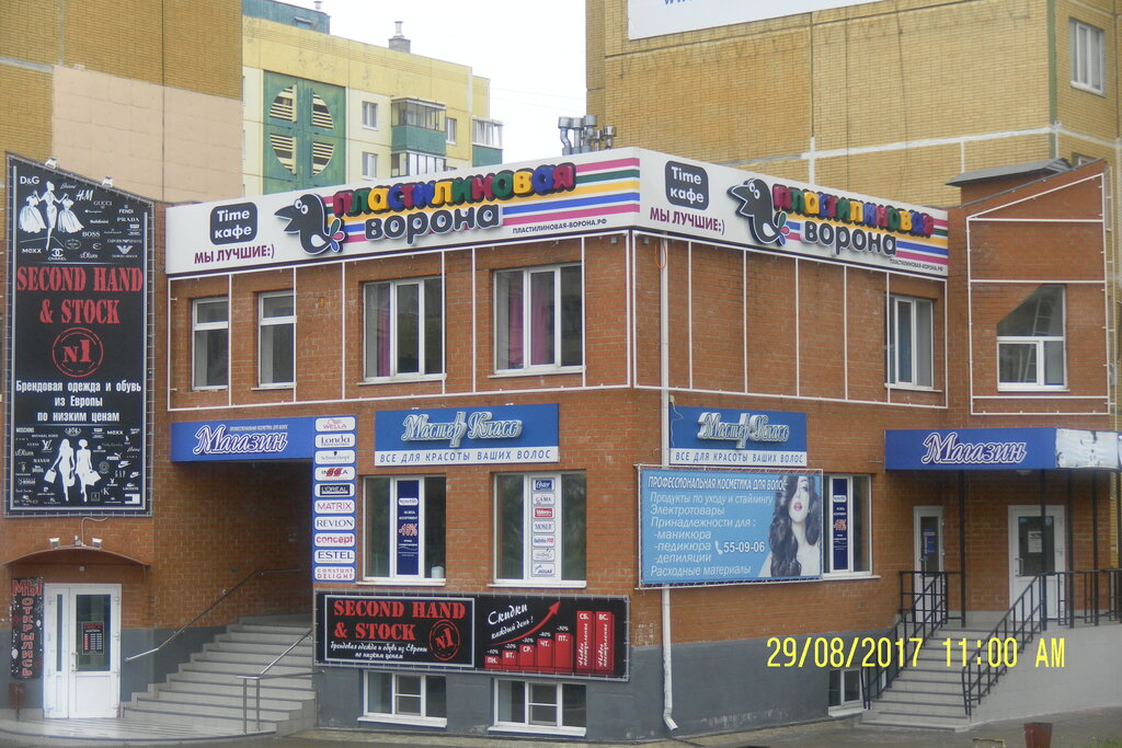 Kafe Plastilinovaya Vorona, Kursk, foto