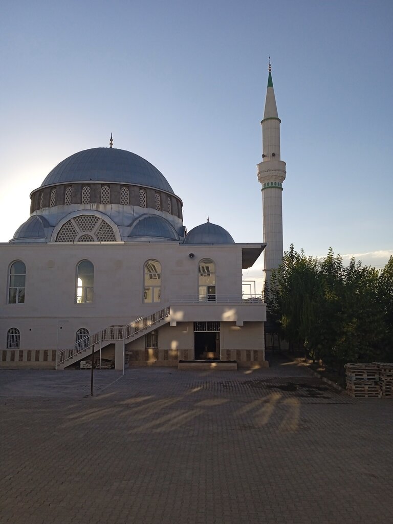 Cami Hayderi Cami, Bismil, foto