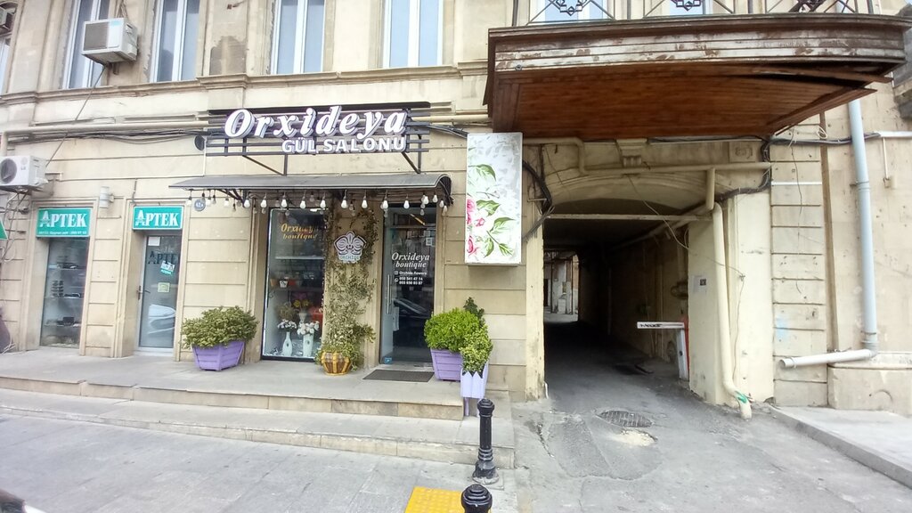 Çiçekçiler Orxideya, Bakü, foto