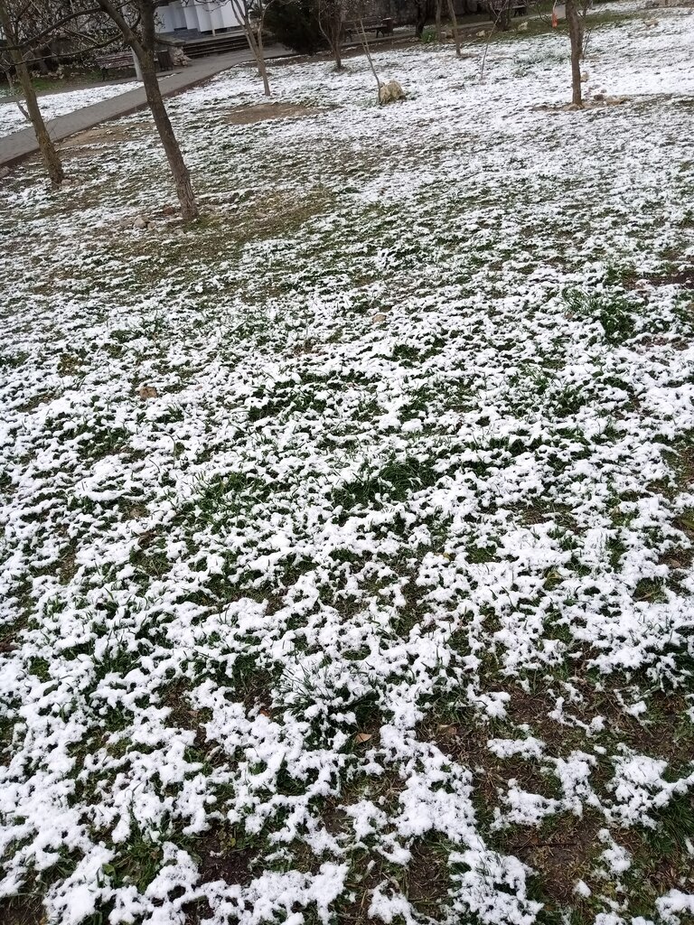 Kültür ve eğlence parkları сквер школы № 57, Sevastopol, foto