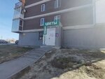 Akvarel (ulitsa 70-letiya Pobedy No:1), kırtasiyeler  Volgograd'dan
