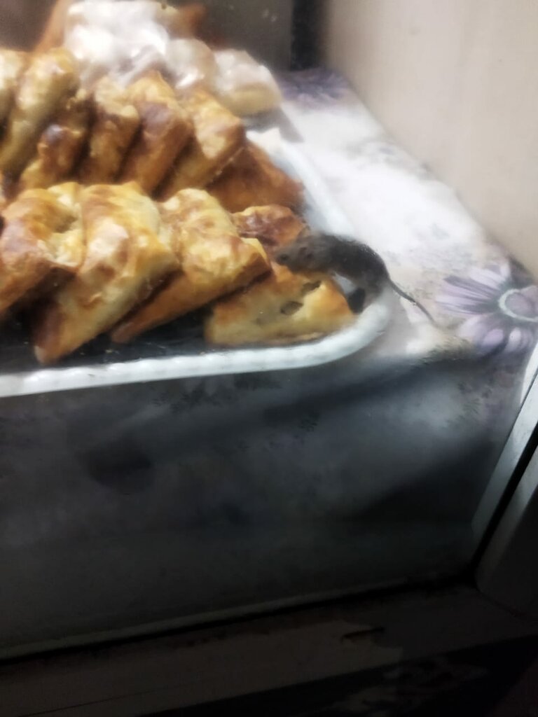 Fast food Евтинская чебуречная, , foto