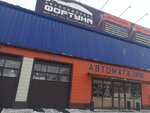 Фортуна (Pervomayskaya ulitsa No:16), otomobil servisi  Bikin'den